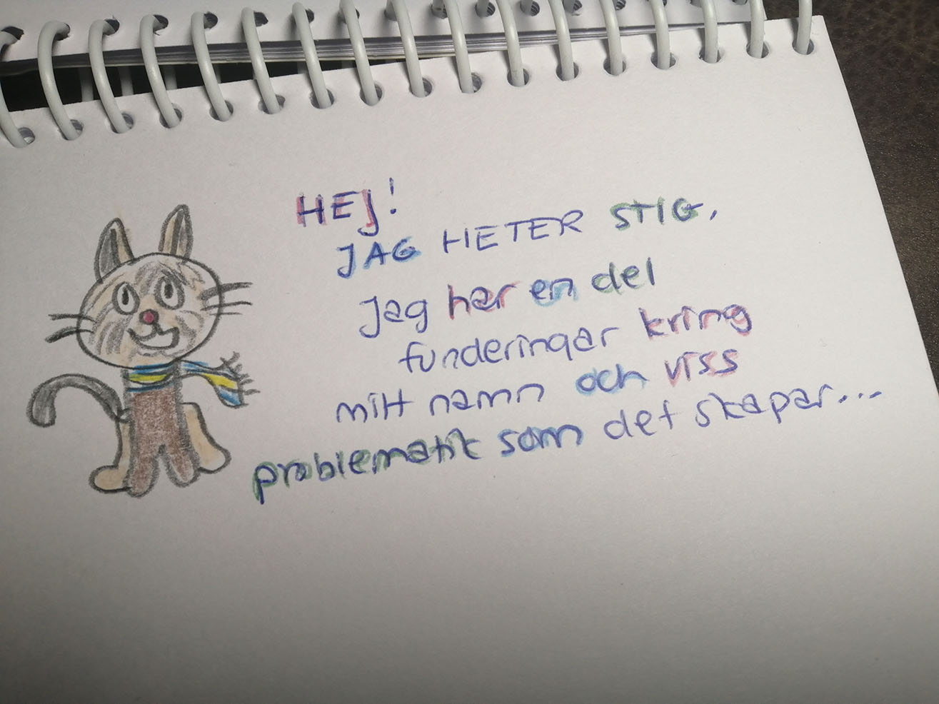 Katten Stig har många funderingar | Debutsky's Blog – Inne i huvudet på ...